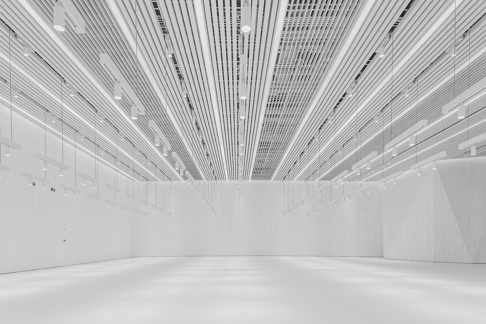 Renovation of the Multi-Function Hall in Central Academy of Fine Arts ...