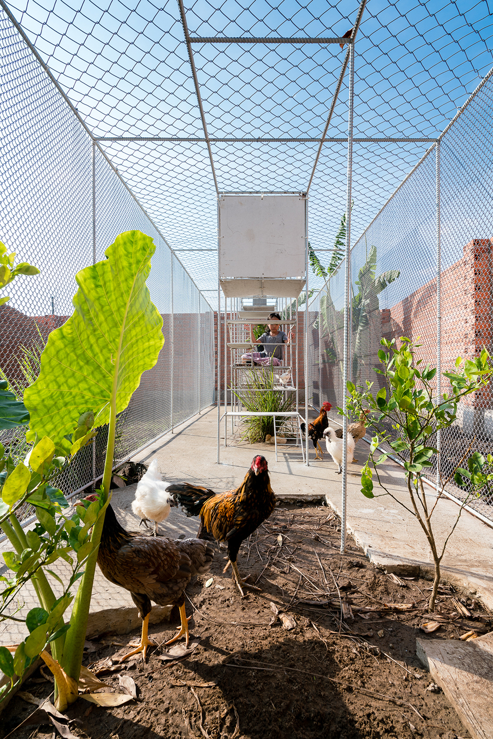 Chicken House by Tropical Space - 谷德设计网