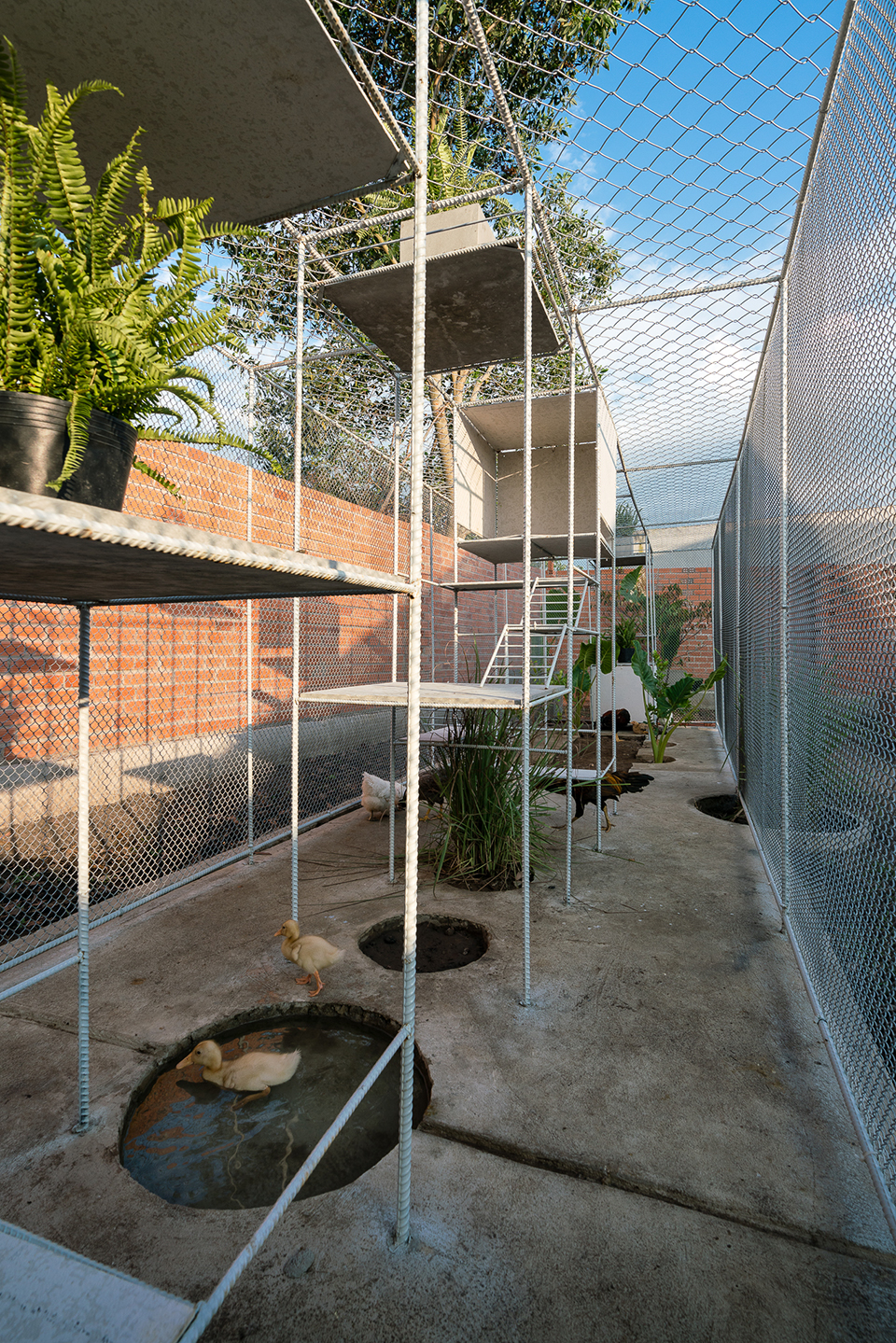 Chicken House by Tropical Space - 谷德设计网