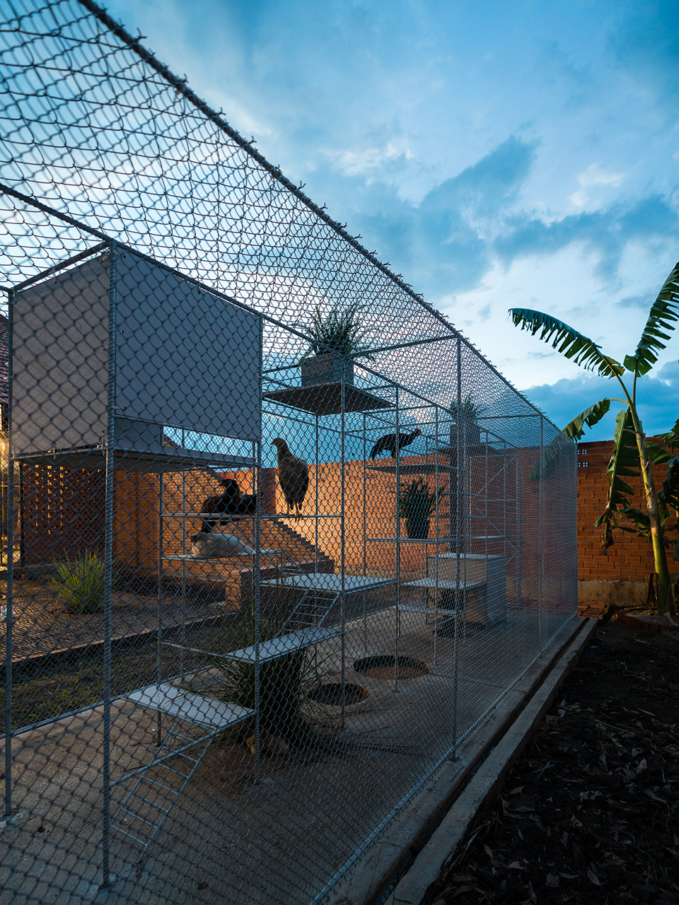 Chicken House by Tropical Space - 谷德设计网