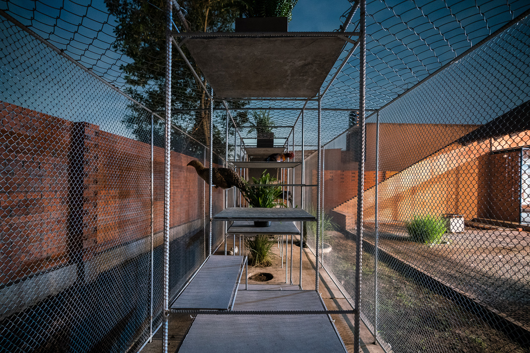 Chicken House by Tropical Space - 谷德设计网