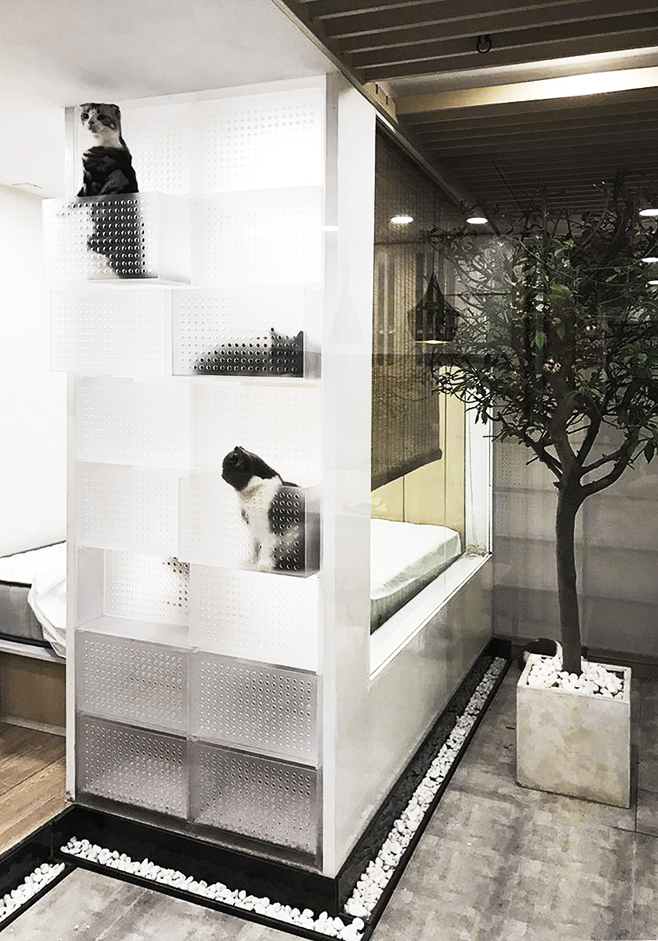 Cat House, China by FANAF - 谷德设计网