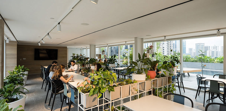 Mallol Design House by Mallol Arquitectos - 谷德设计网