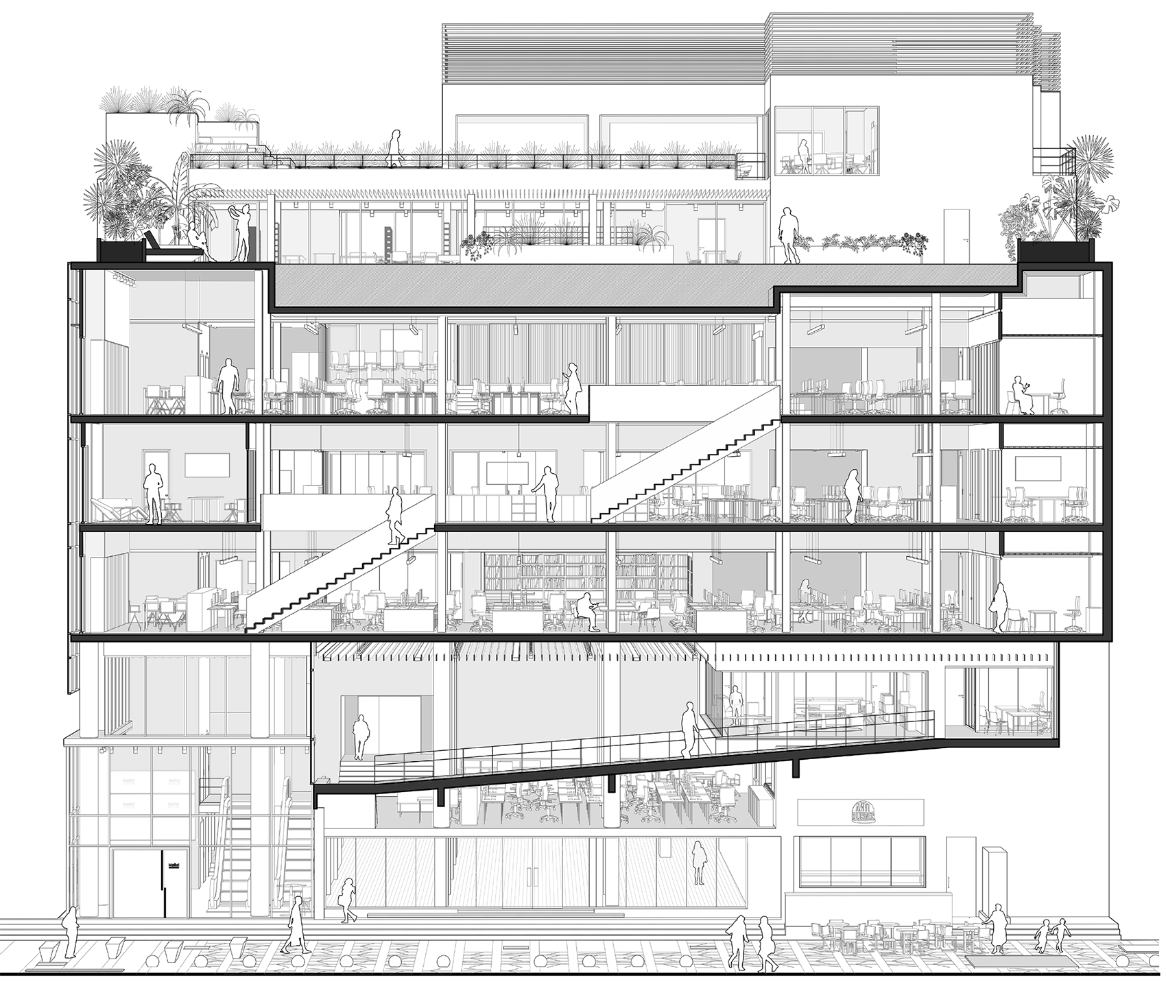 Mallol Design House by Mallol Arquitectos - 谷德设计网