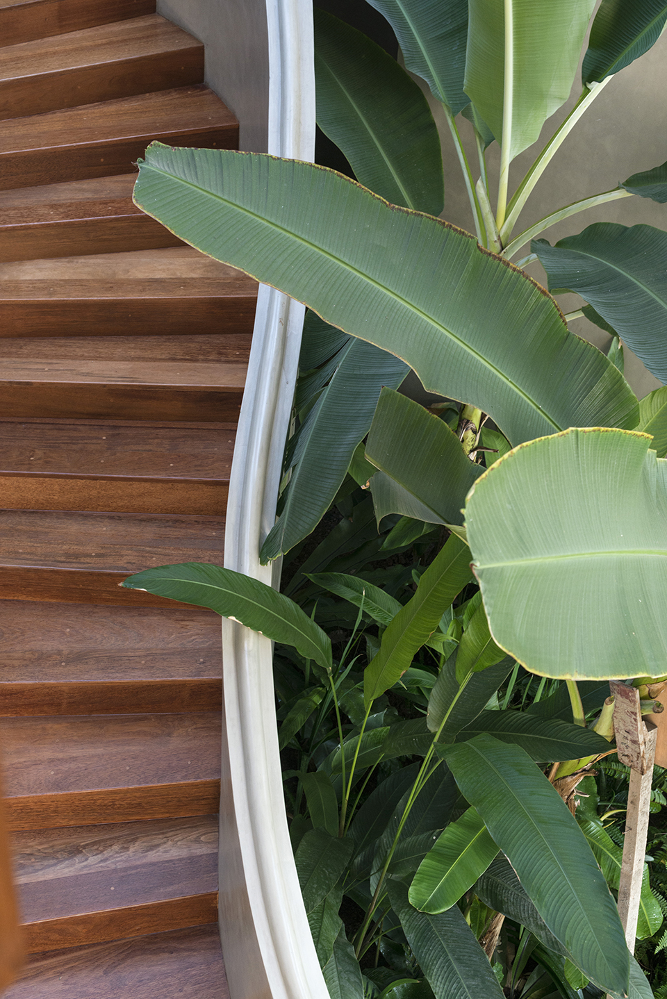 Nucleus House by Palinda Kannangara Architects - 谷德设计网