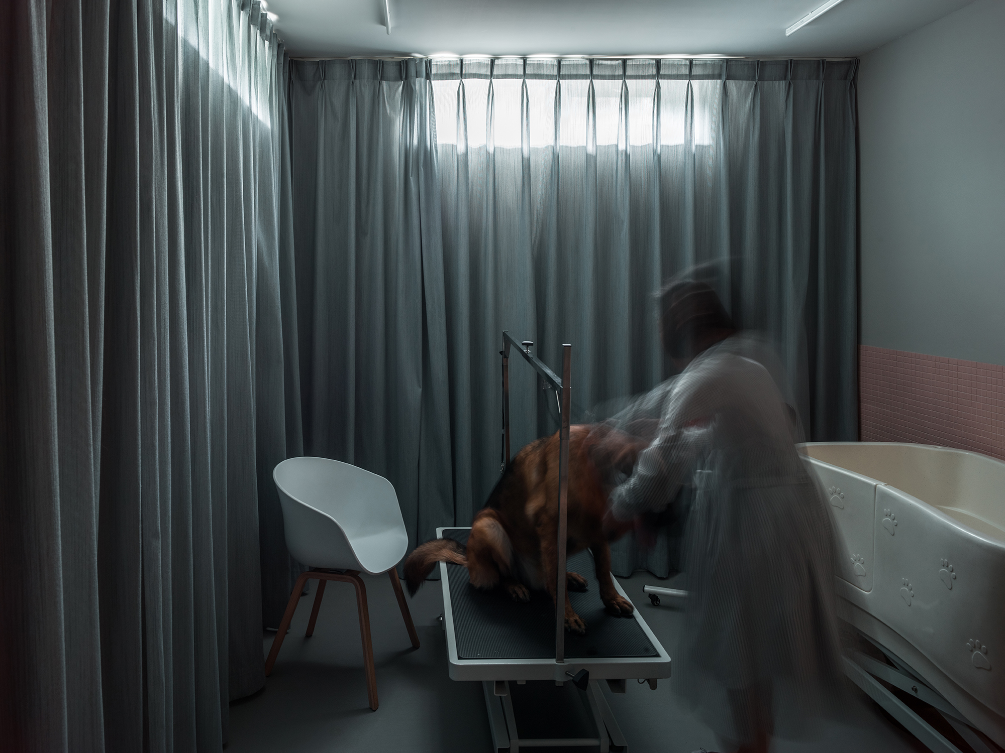 The Dog House by Atelier About Architecture - 谷德设计网