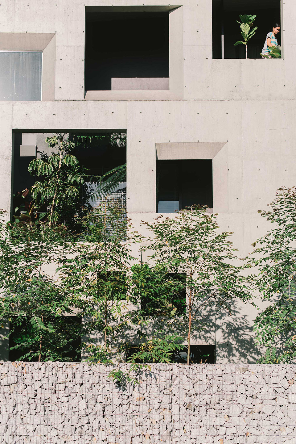 the Window House by FORMZERO - 谷德设计网