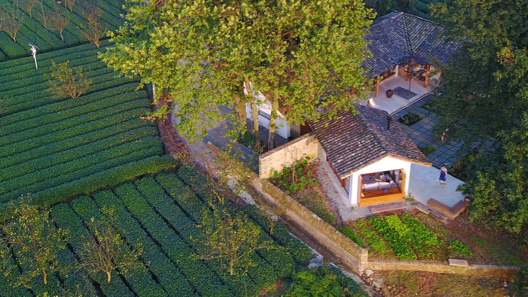 Tea time courtyard, China by Shall design - 谷德设计网