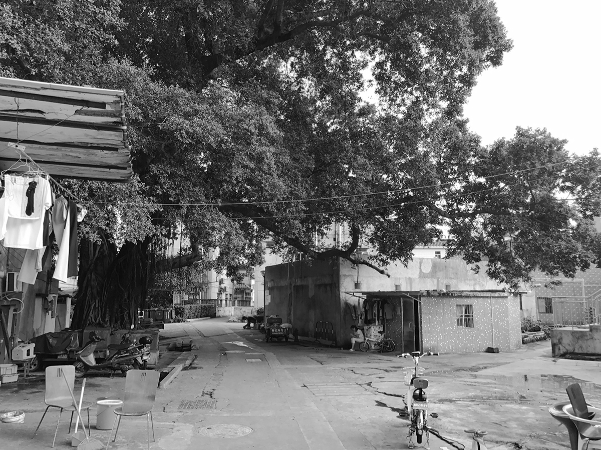 Community renovation and city-village coexistence in Yantian District ...