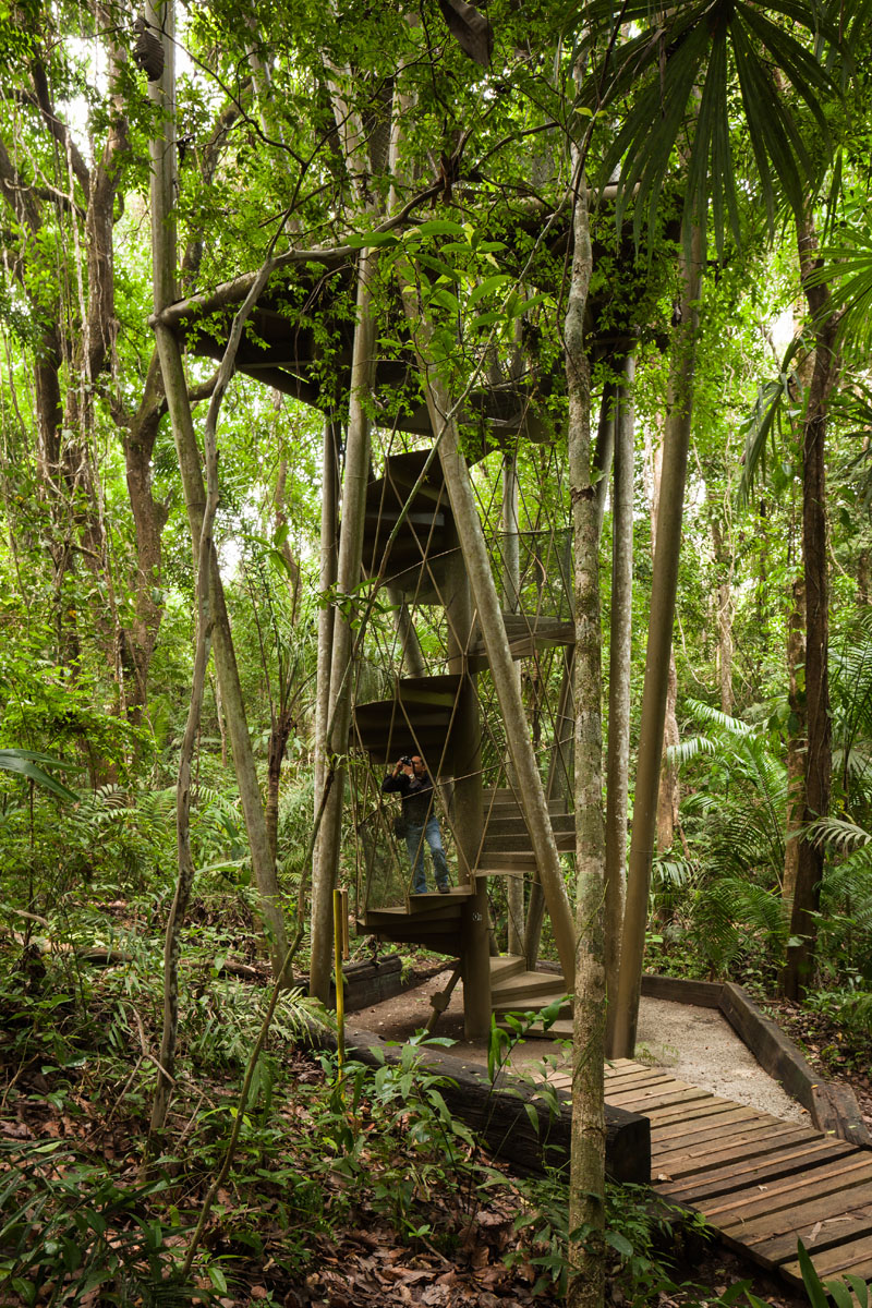 Panama Rainforest Discovery Center And Observation Tower by ENSITU - 谷德设计网