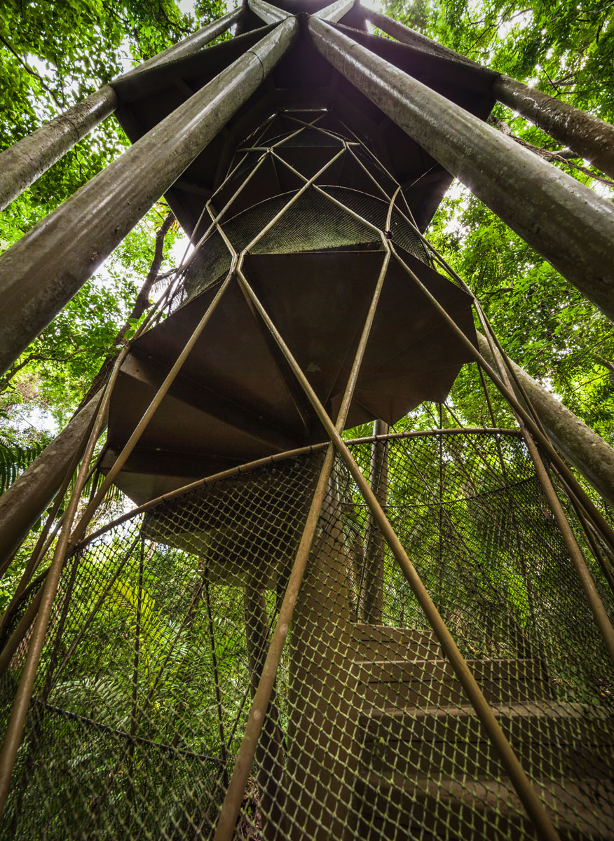 Panama Rainforest Discovery Center And Observation Tower by ENSITU - 谷德设计网