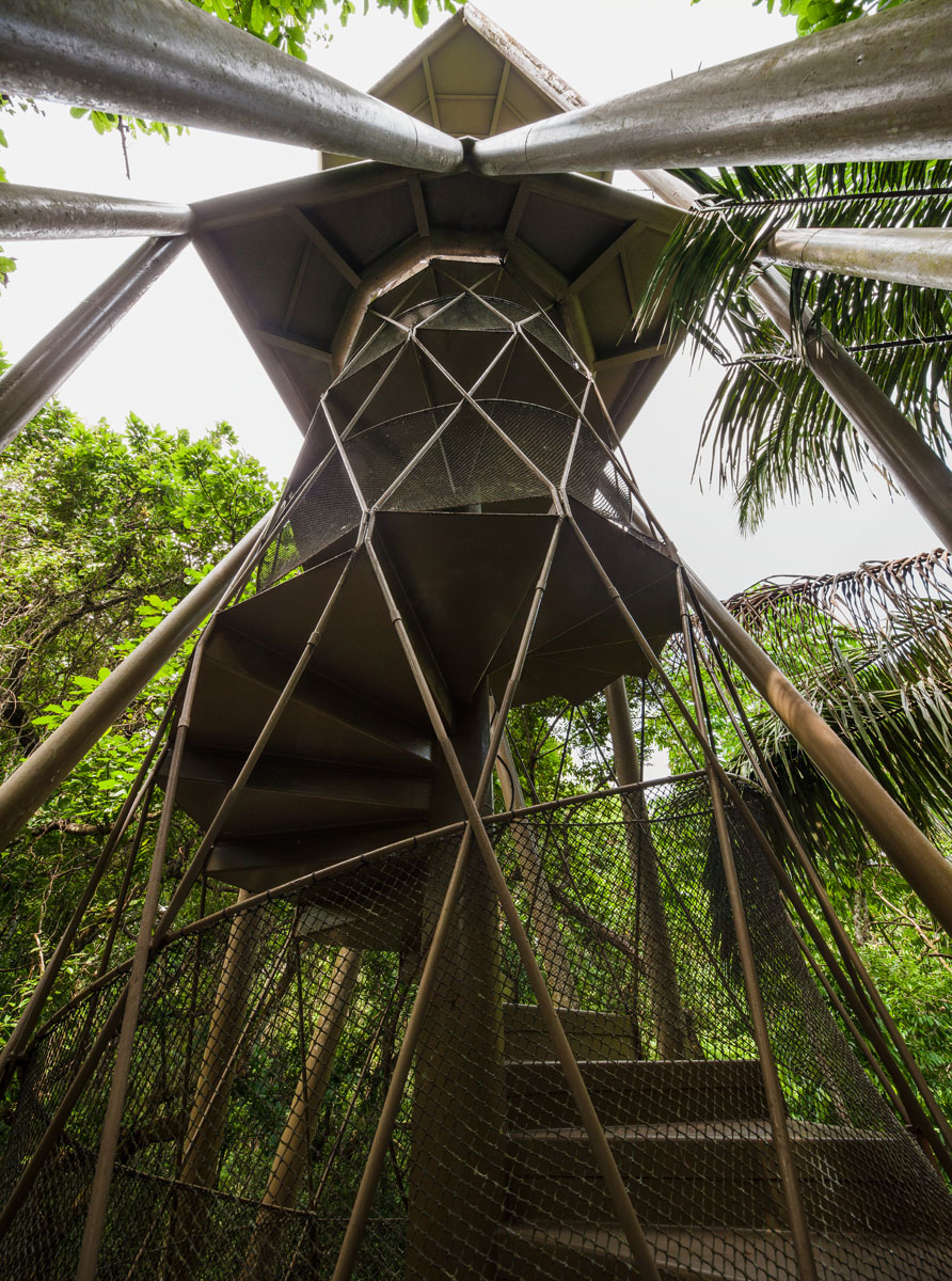 Panama Rainforest Discovery Center And Observation Tower by ENSITU - 谷德设计网