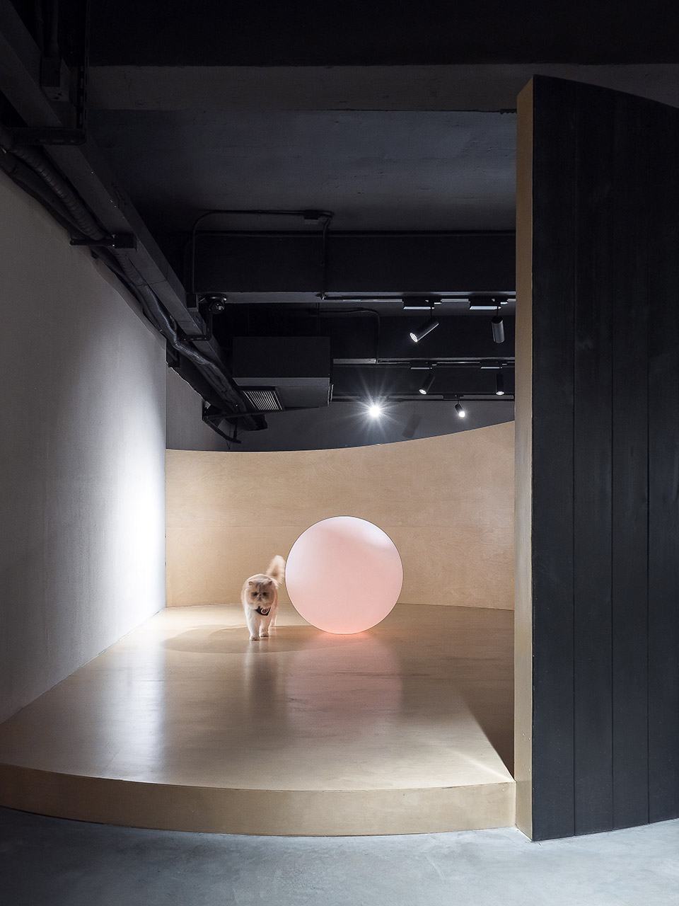Meow Restaurant in Guangzhou, China by E Studio - 谷德设计网