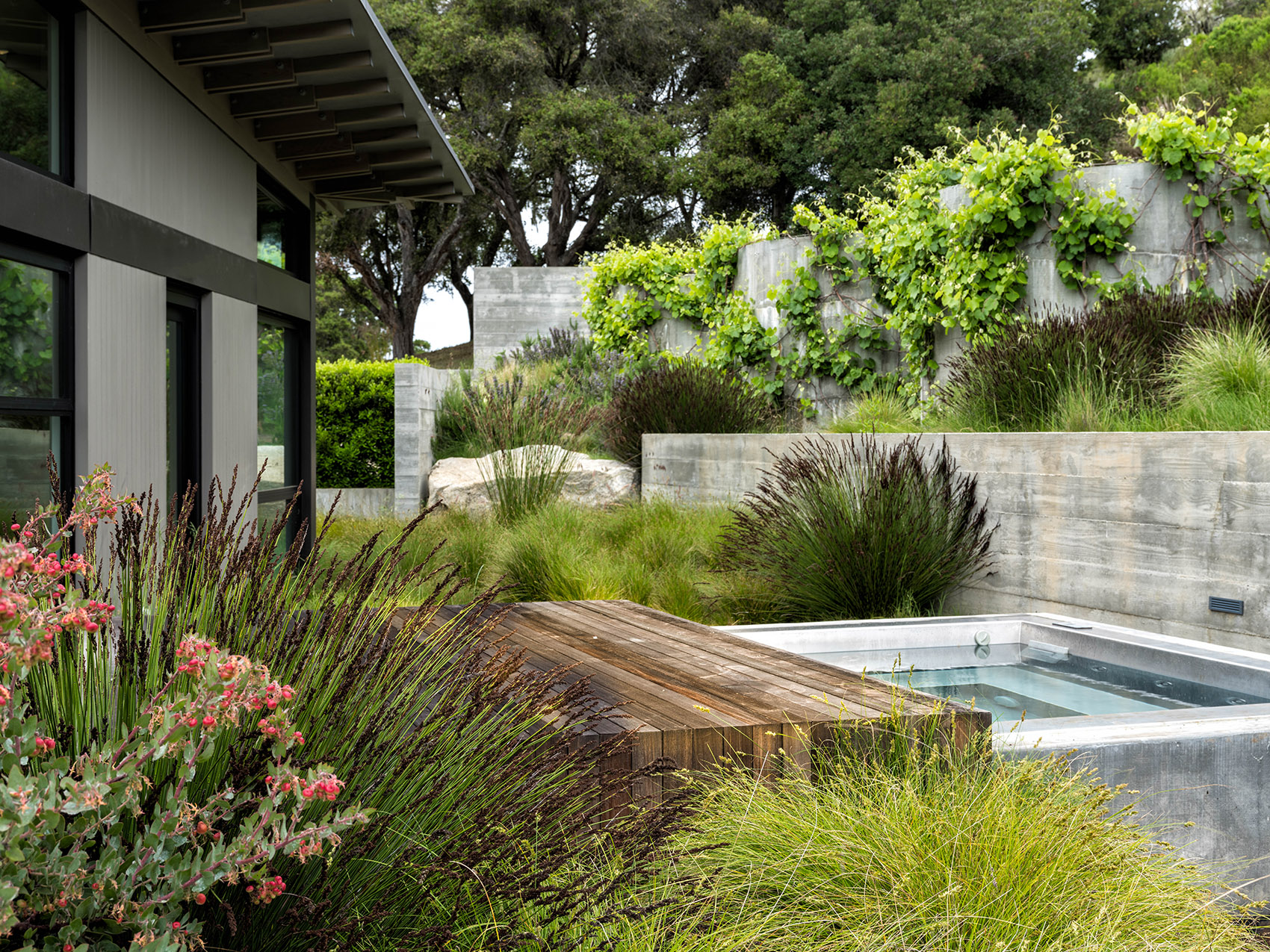 Butterfly House by Feldman Architecture - 谷德设计网