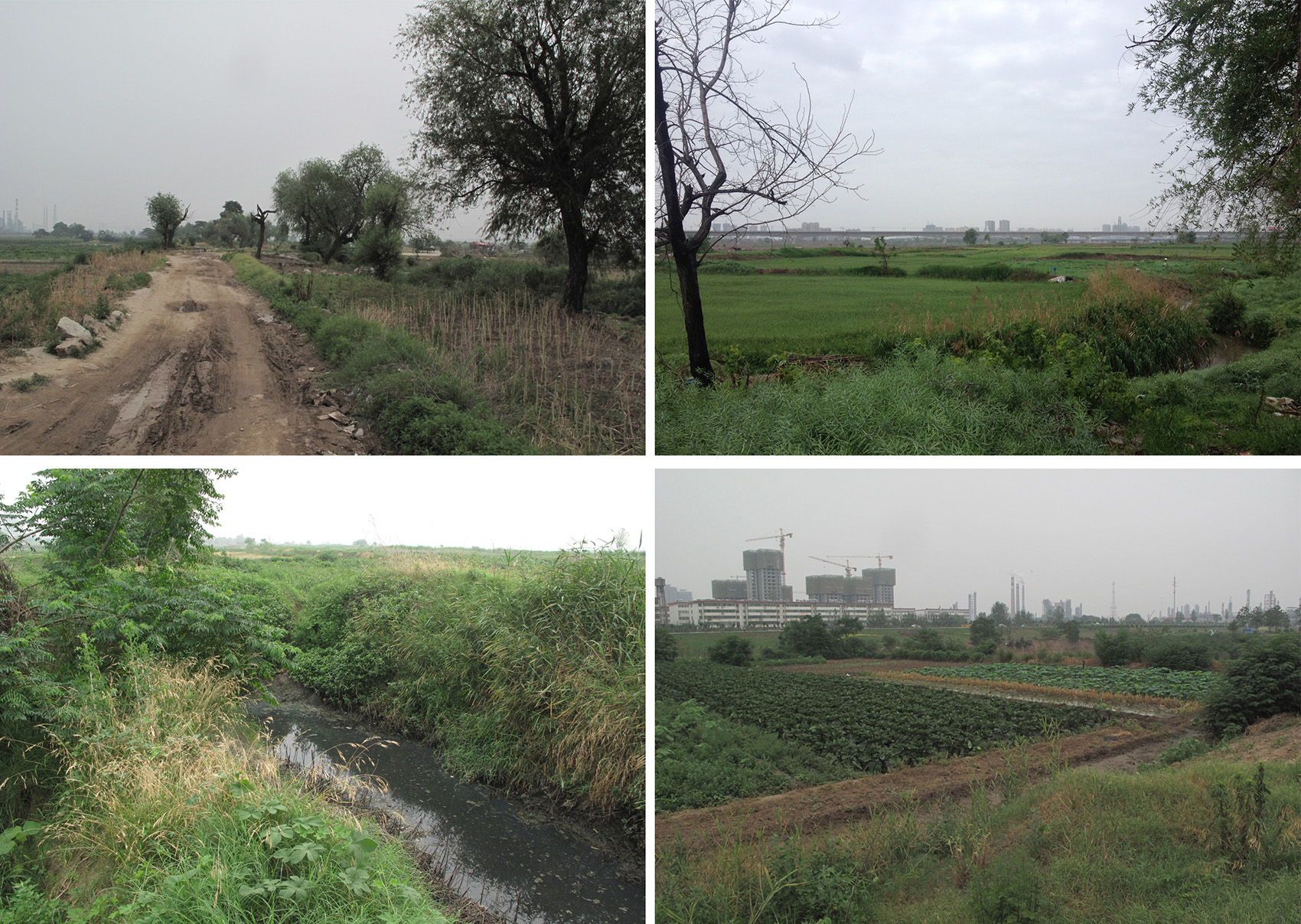 Weiliu Wetland Park, China by YIFANG ECOSCAPE STUDIO - 谷德设计网