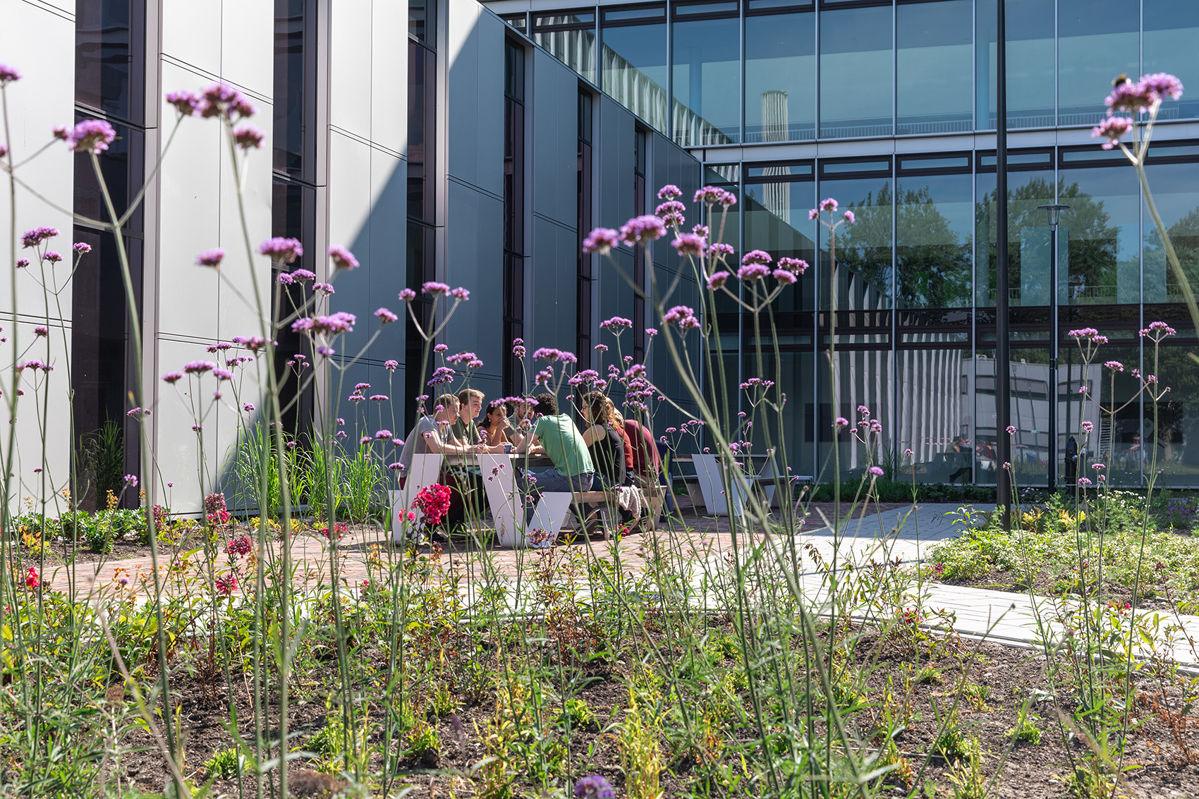 Bèta Campus, University of Leiden by Inbo - 谷德设计网