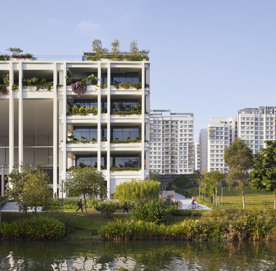 Oasis Terraces by Serie Architects + Multiply Architects - 谷德设计网