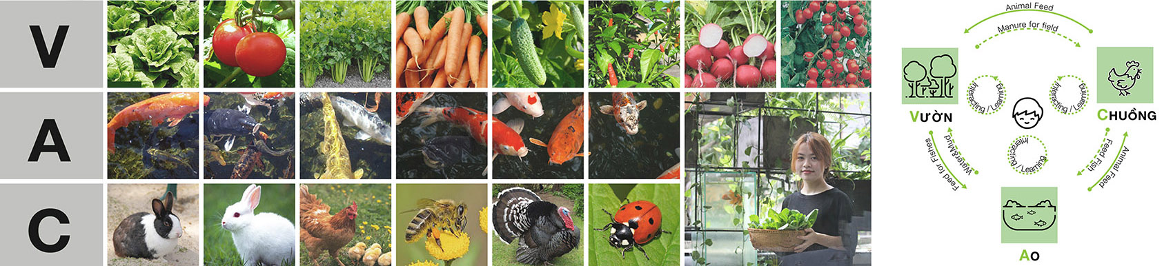 VAC Library by Farming Architects - 谷德设计网