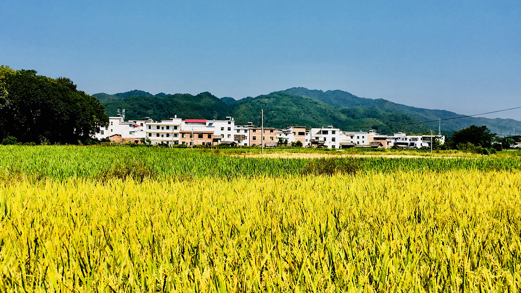 A White Hillside House by Ming Ding Spatial Art Studio - 谷德设计网