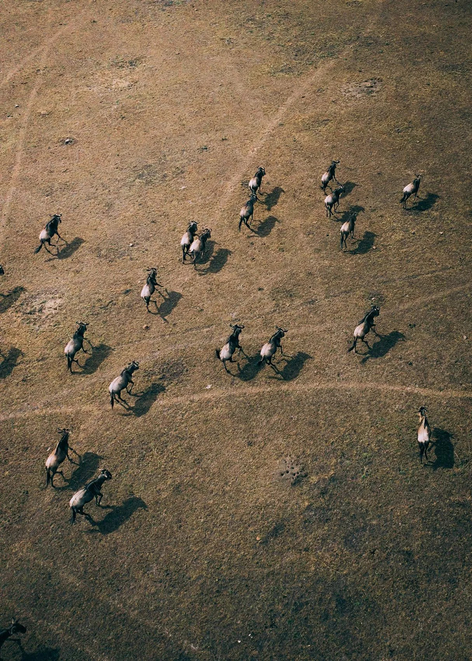 Photography series by Martin Sanchez - 谷德设计网