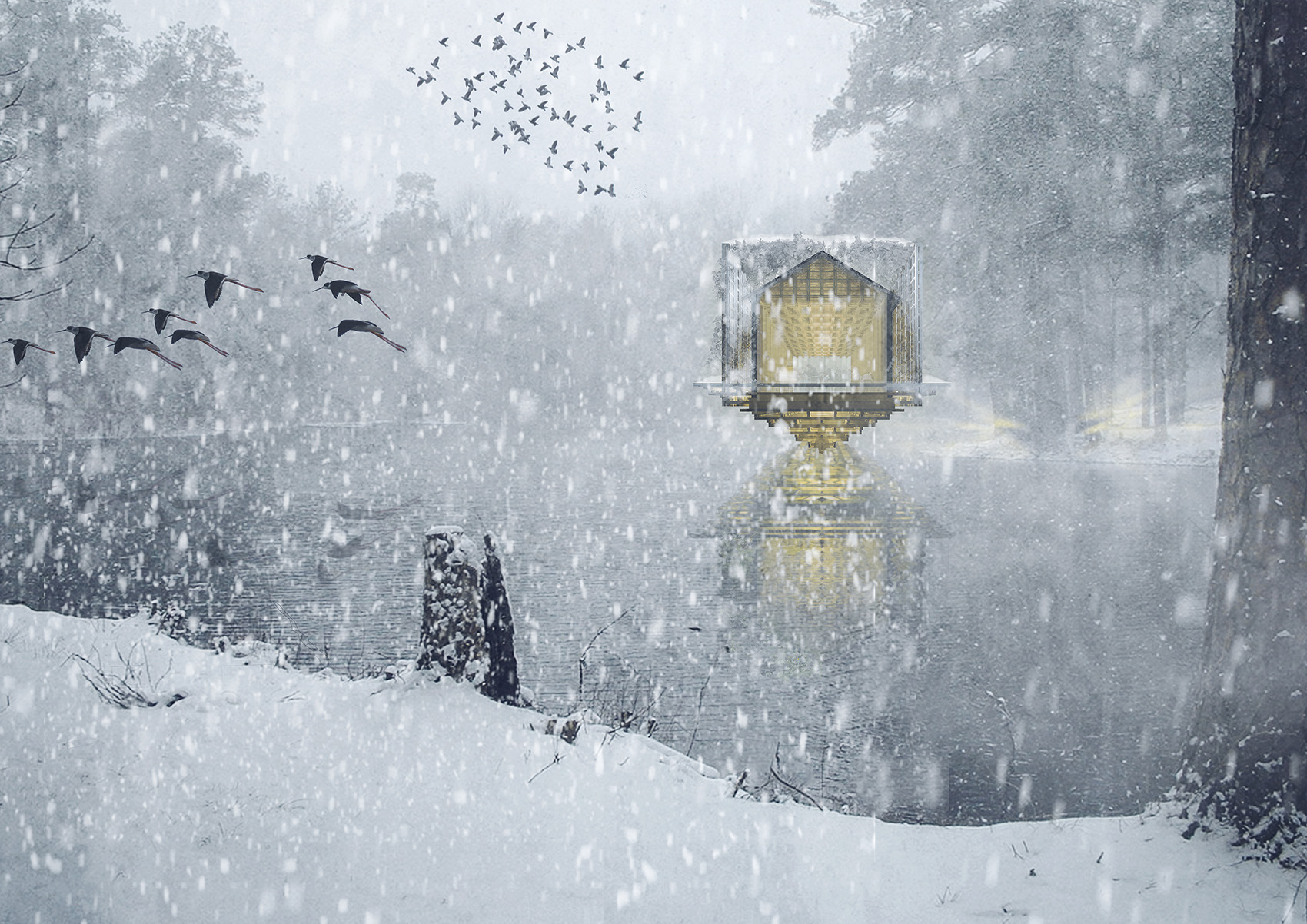 Overseas NO.84: Wei Huang - 谷德设计网