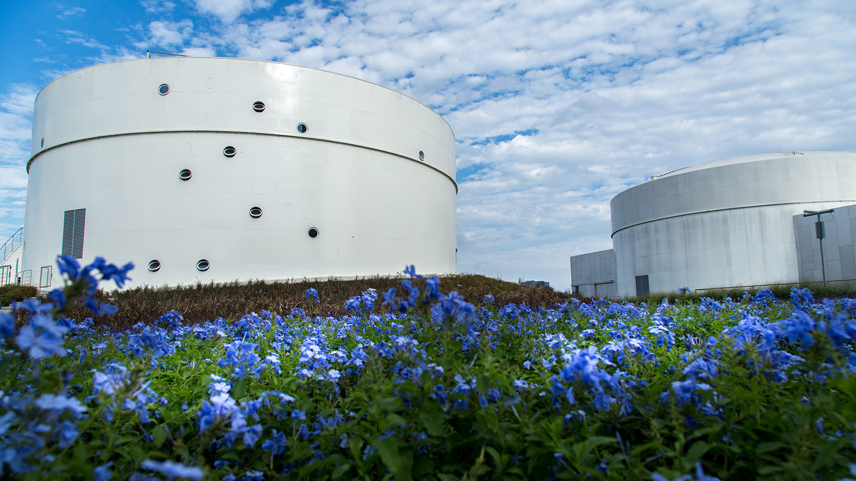 teamLab holds the immense inaugural exhibition at TANK Shanghai ...