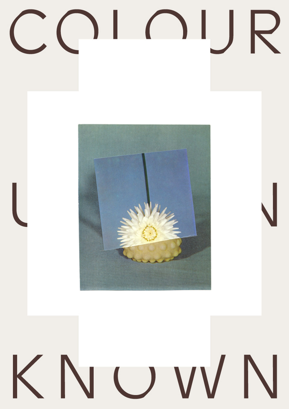 ALYSI Presents COLOUR: UNKNOWN in Collaboration with Studio Fludd - 谷德设计网