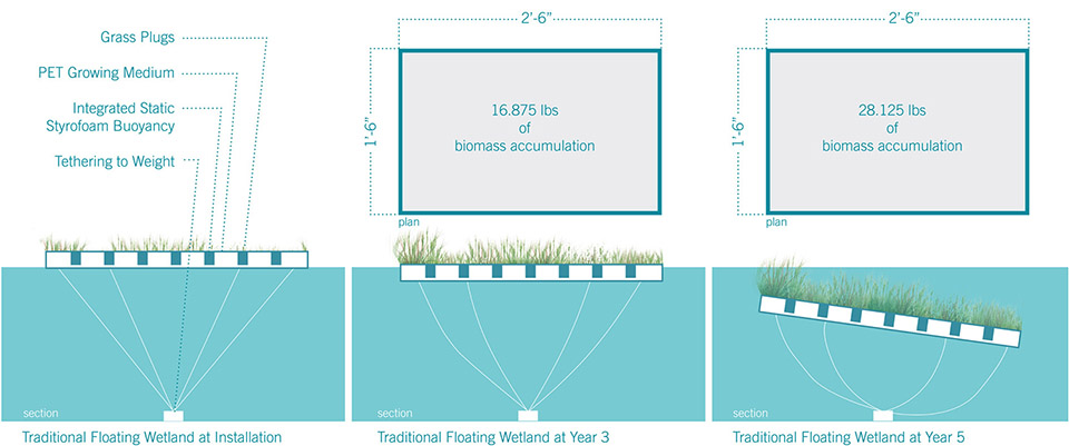 2018 ASLA RESEARCH AWARD OF HONOR: Urban Aquatic Health: Integrating ...