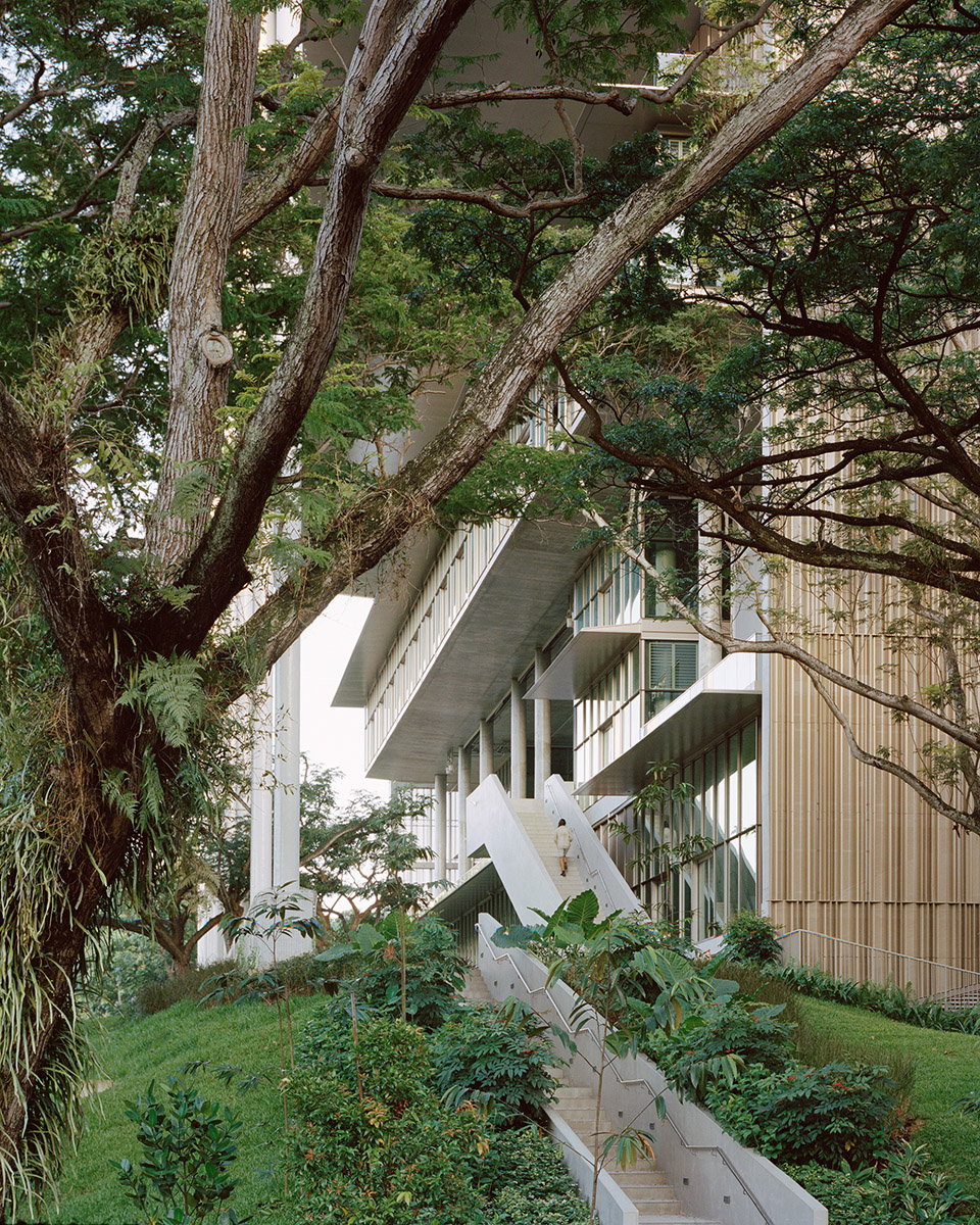 The new NUS School of Design & Environment 4 by Serie Architects ...