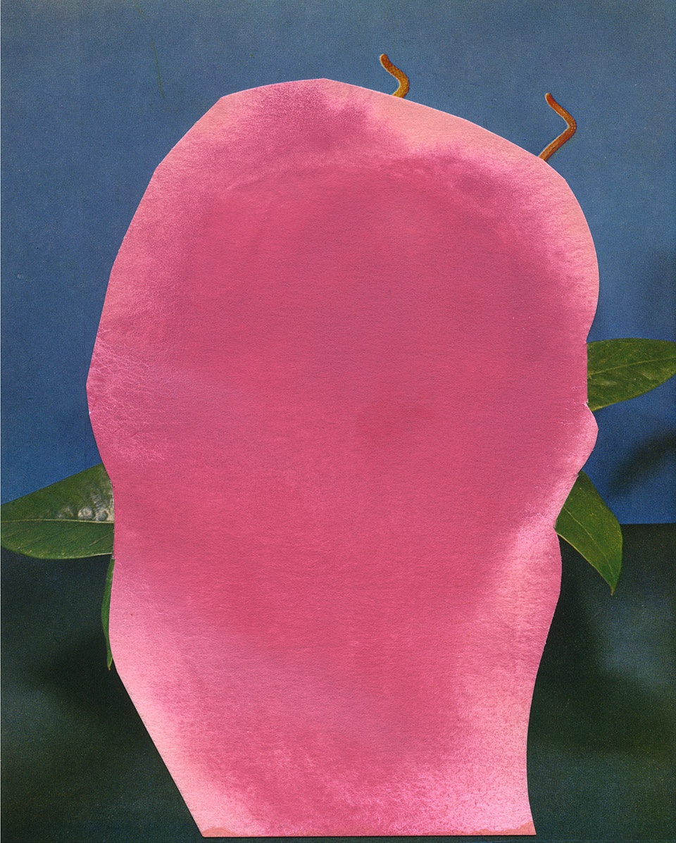 ALYSI Presents COLOUR: UNKNOWN in Collaboration with Studio Fludd - 谷德设计网