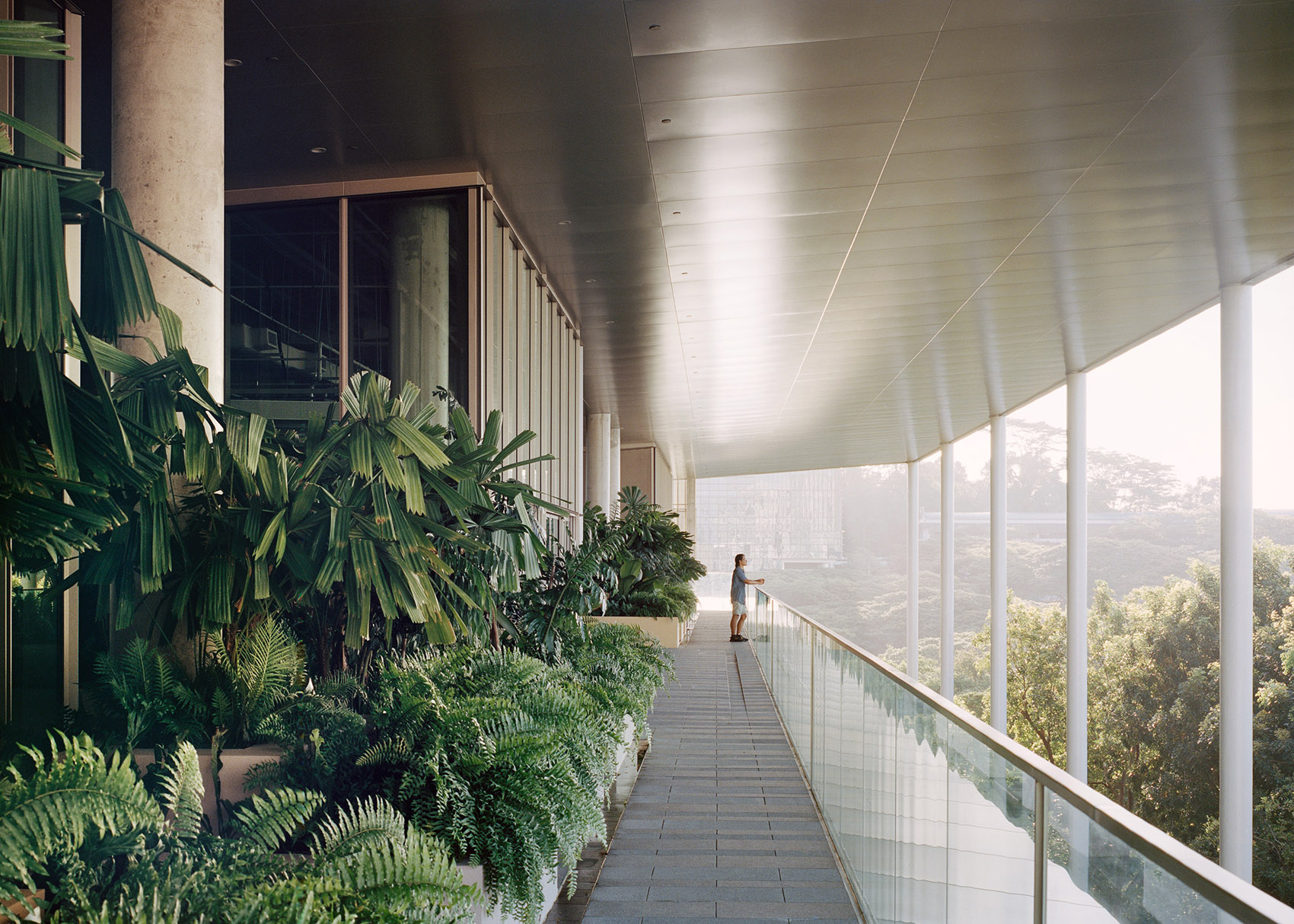 The new NUS School of Design & Environment 4 by Serie Architects ...