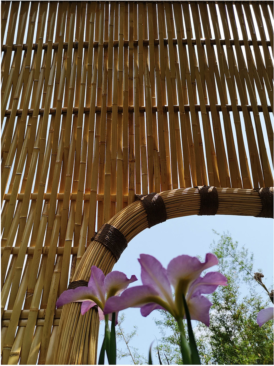 ”Tide”- Bamboo installation, China by BERYL - 谷德设计网