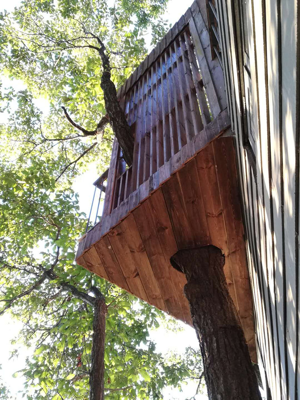 Tree House in LaoJun Mountain, Luoyang, China by OJO-OYO PreLab - 谷德设计网