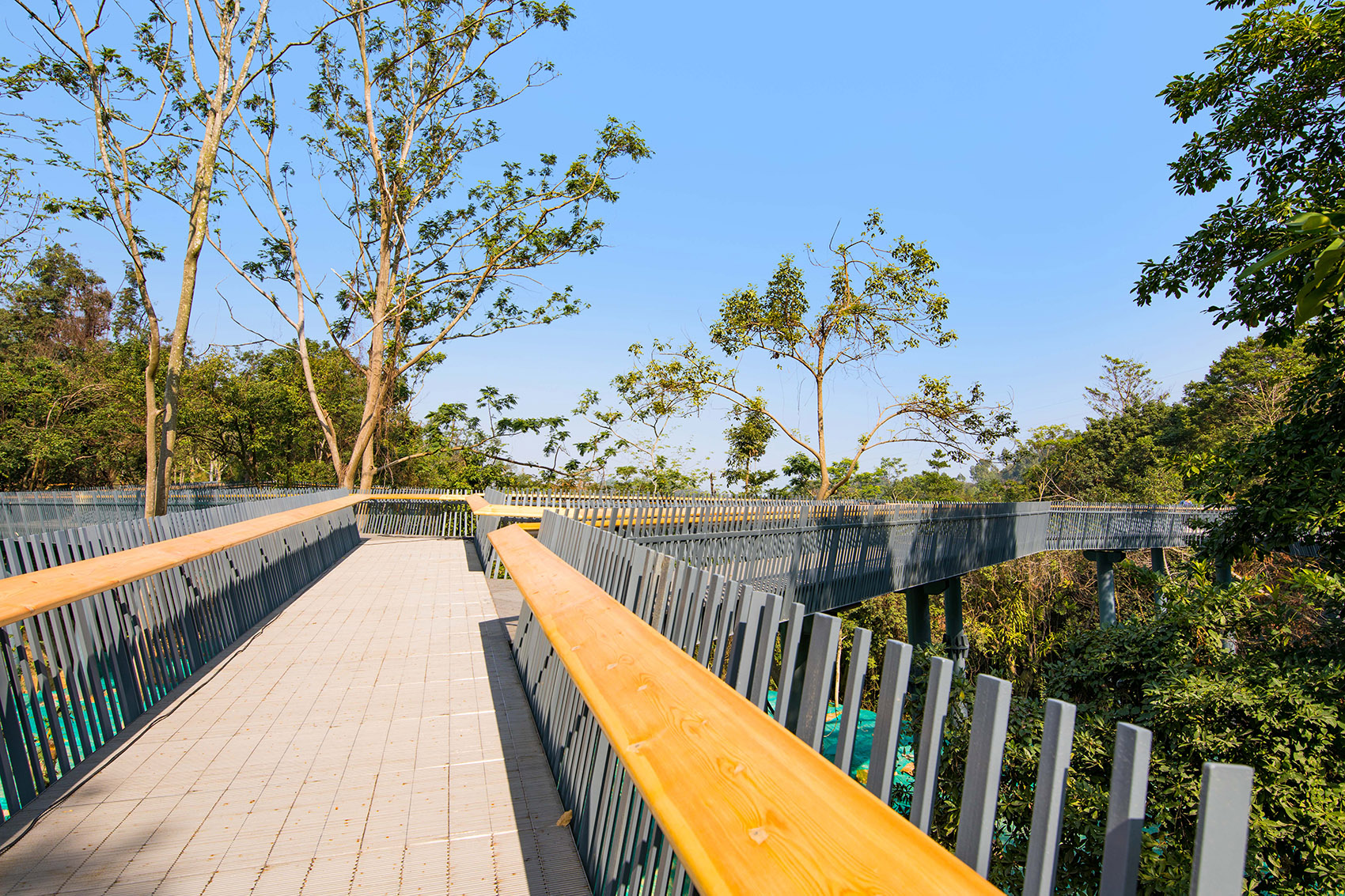 Shenzhen Longhua Greenway Yangtaishan Section, China by LAY-OUT ...