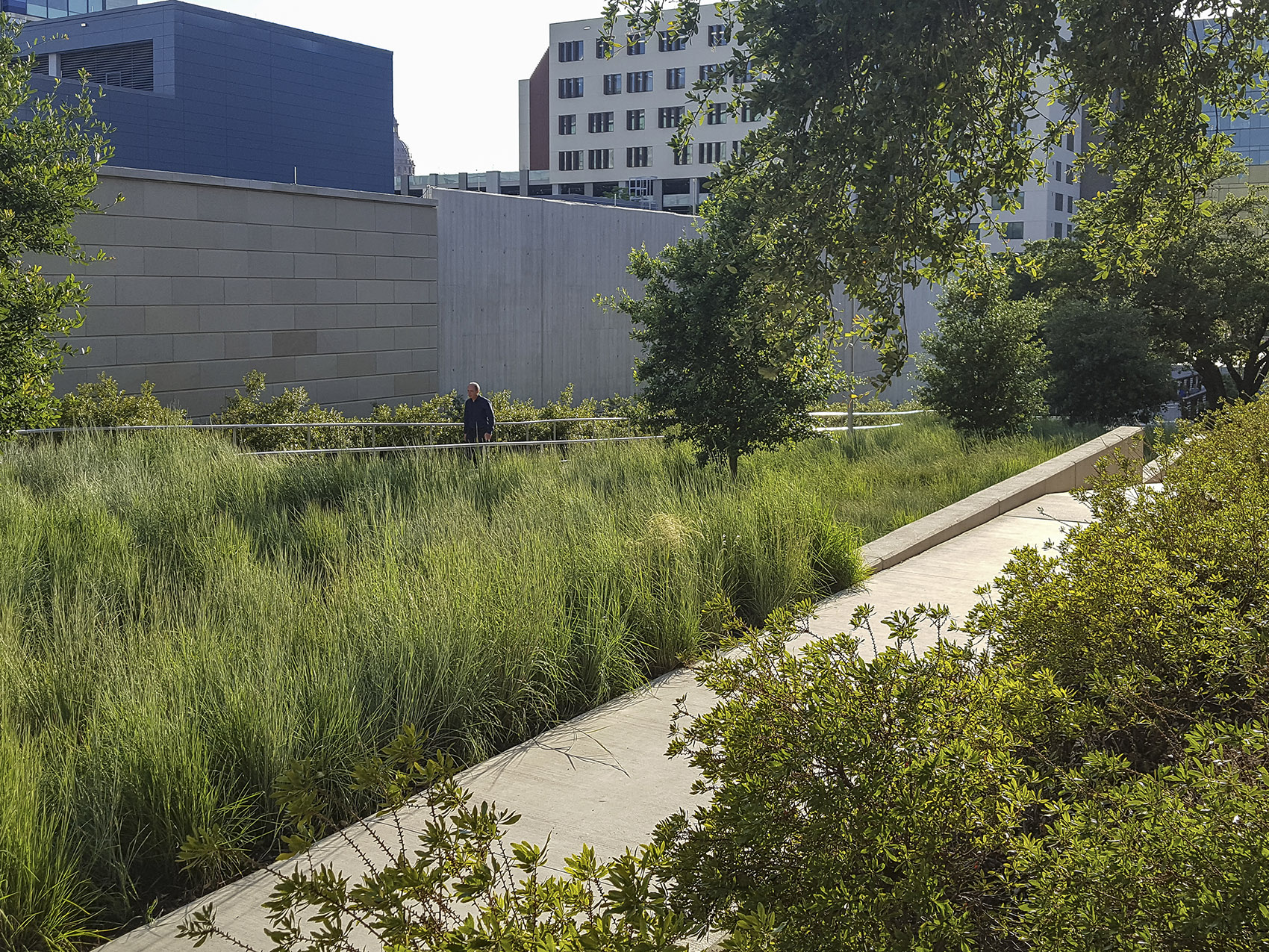 Dell Medical District Landscape by Sasaki - 谷德设计网