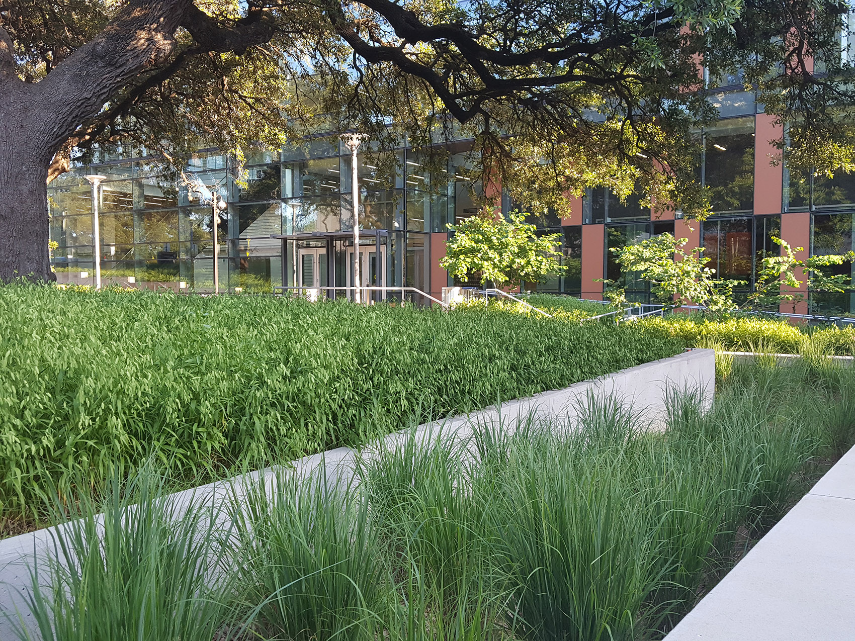 Dell Medical District Landscape by Sasaki - 谷德设计网