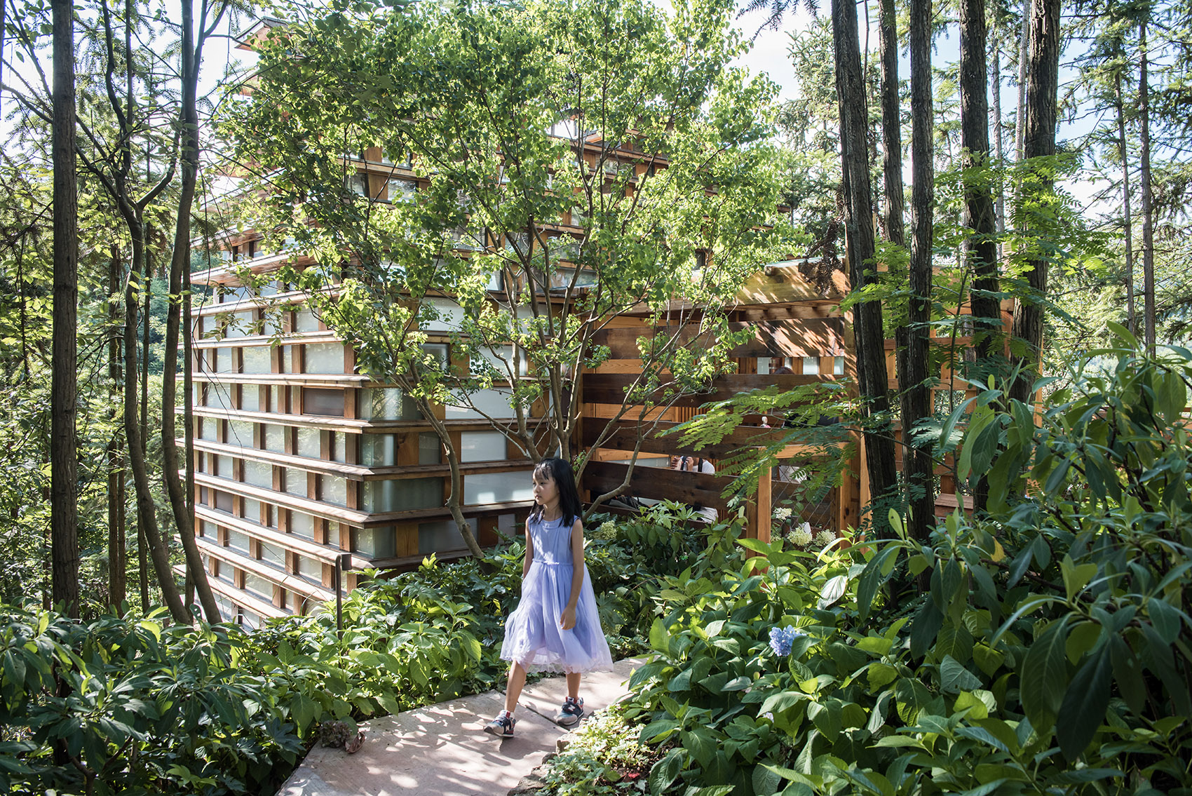 Chinese Tree House