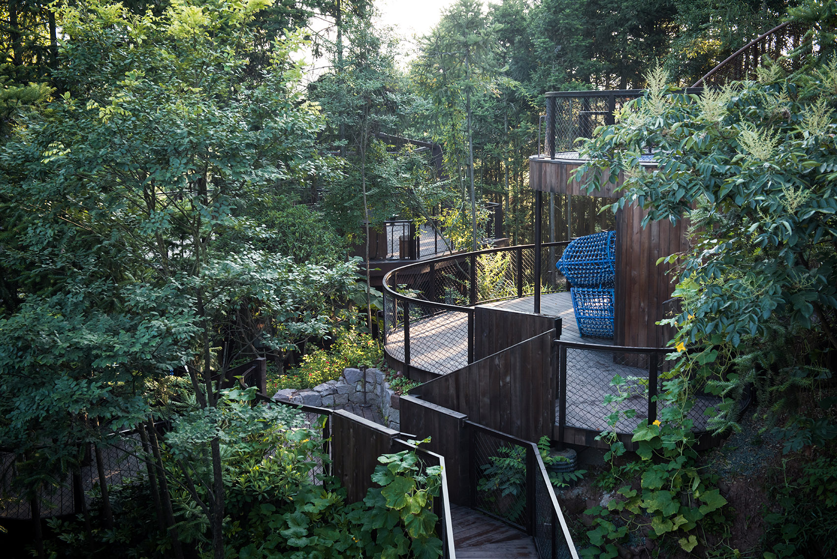 Chinese Tree House