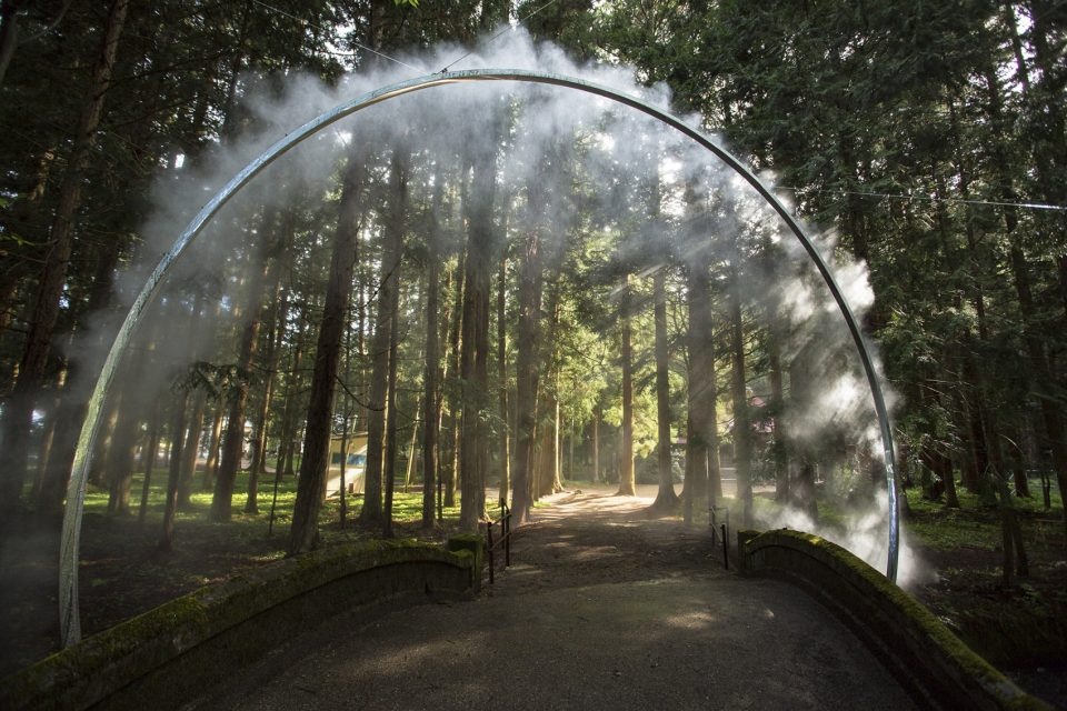 gooood archive: Forest Projects - 谷德设计网