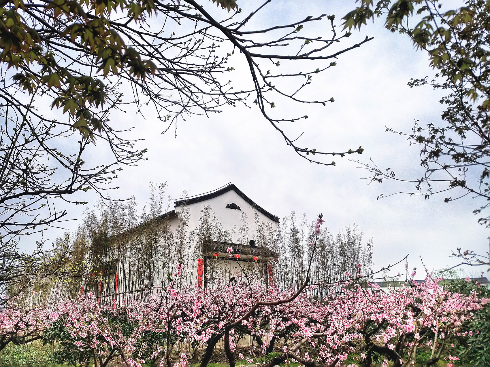 Shanghai “rural revitalization model village” – WuFang village by The ...