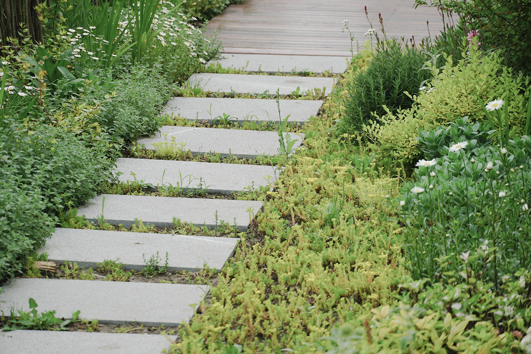 Shanghai “rural revitalization model village” – WuFang village by The ...