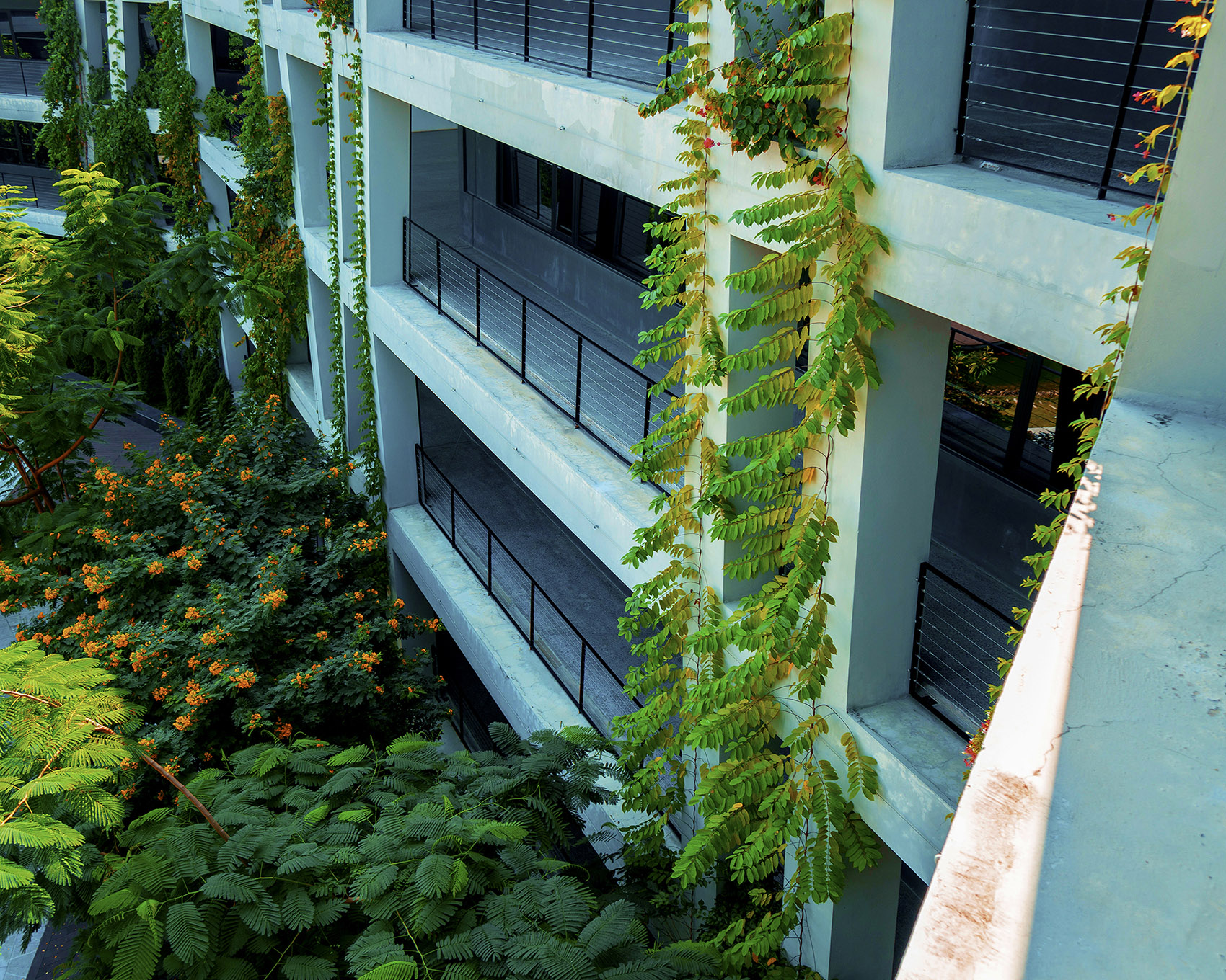 Concrete Lace by G8A Architecture & Urban Planning - 谷德设计网