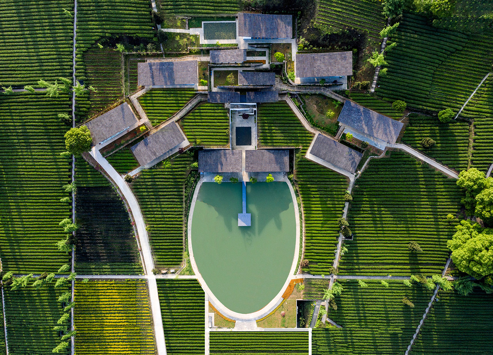 03-ding-xin-tea-garden，china-by-chongqing-haofeng-planning-and-design ...