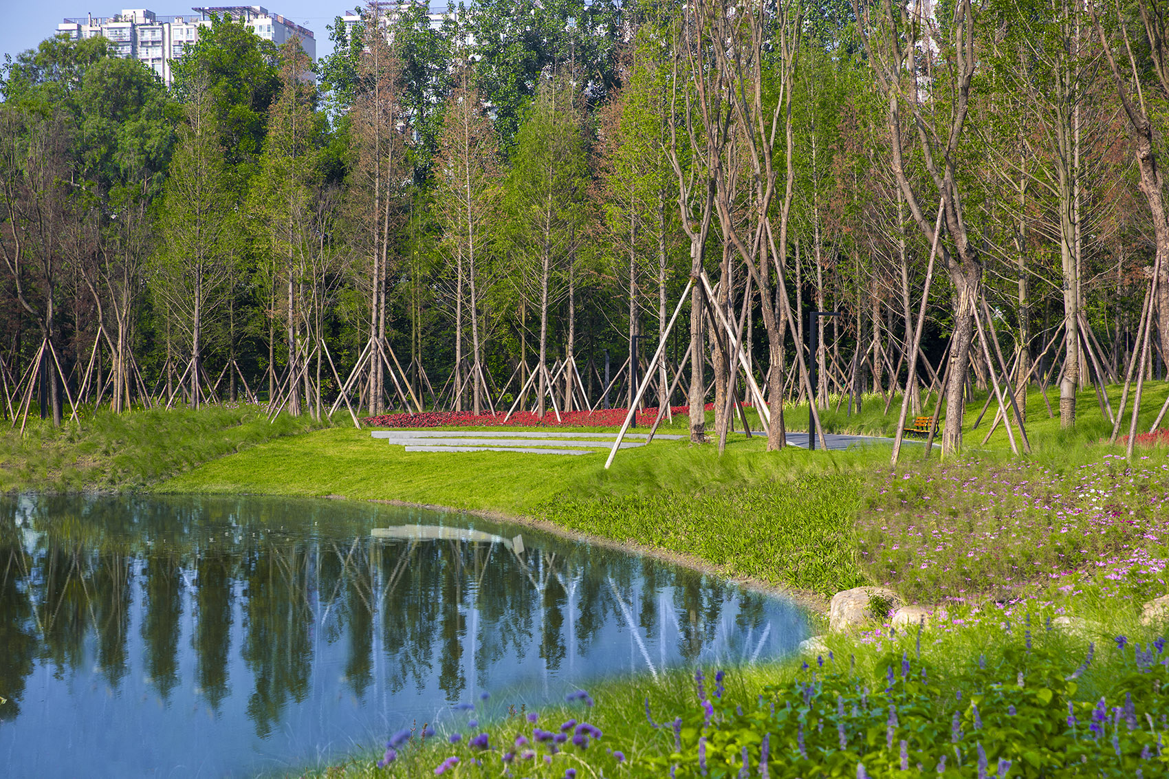 Shaheyuan Park, China by AECOM + AOBO - 谷德设计网