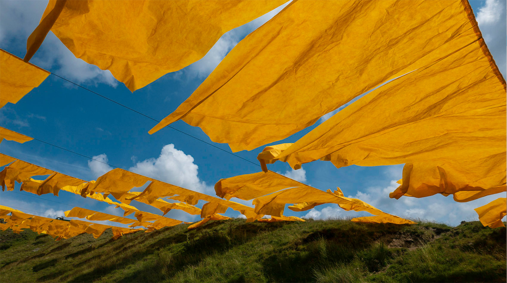 Hush by Steve Messam - 谷德设计网