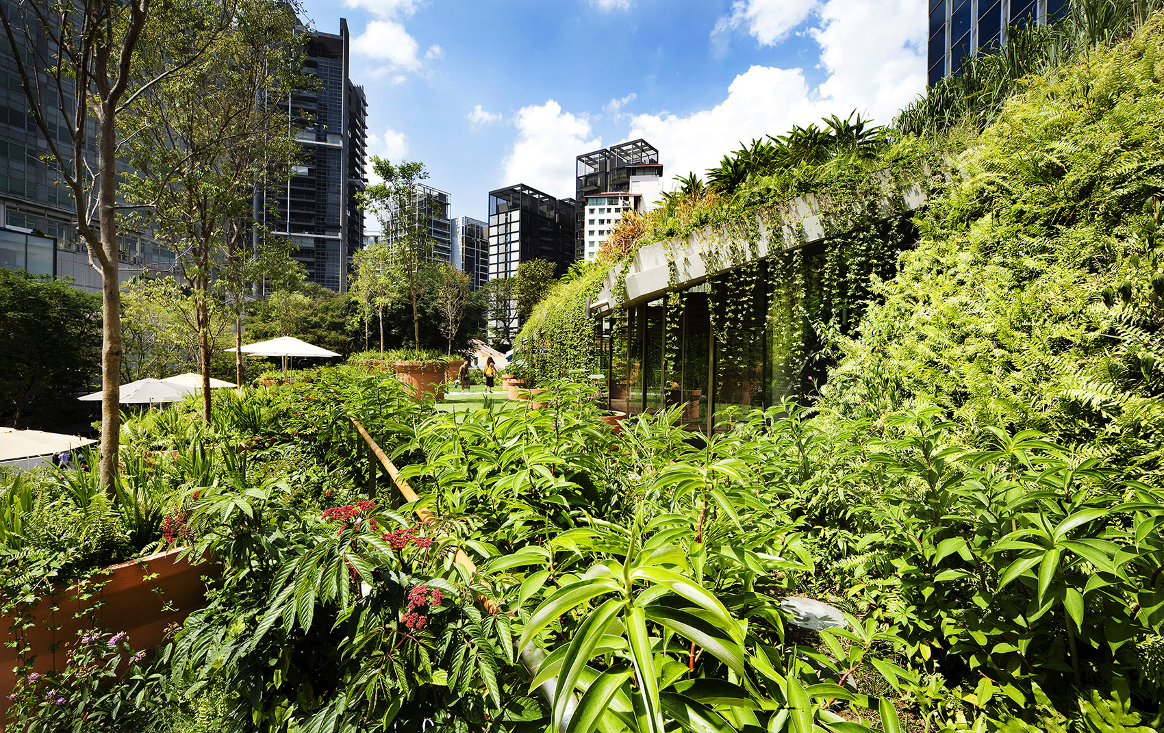 Design Orchard by WOHA - 谷德设计网