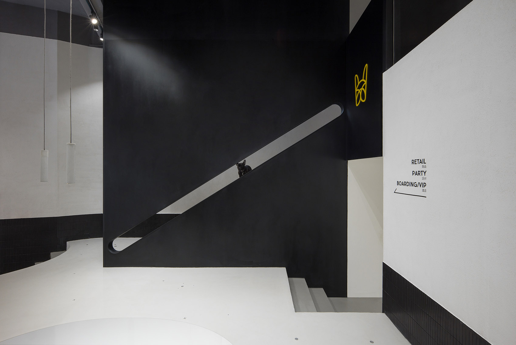 NOVA PETS, China by SAY ARCHITECTS - 谷德设计网
