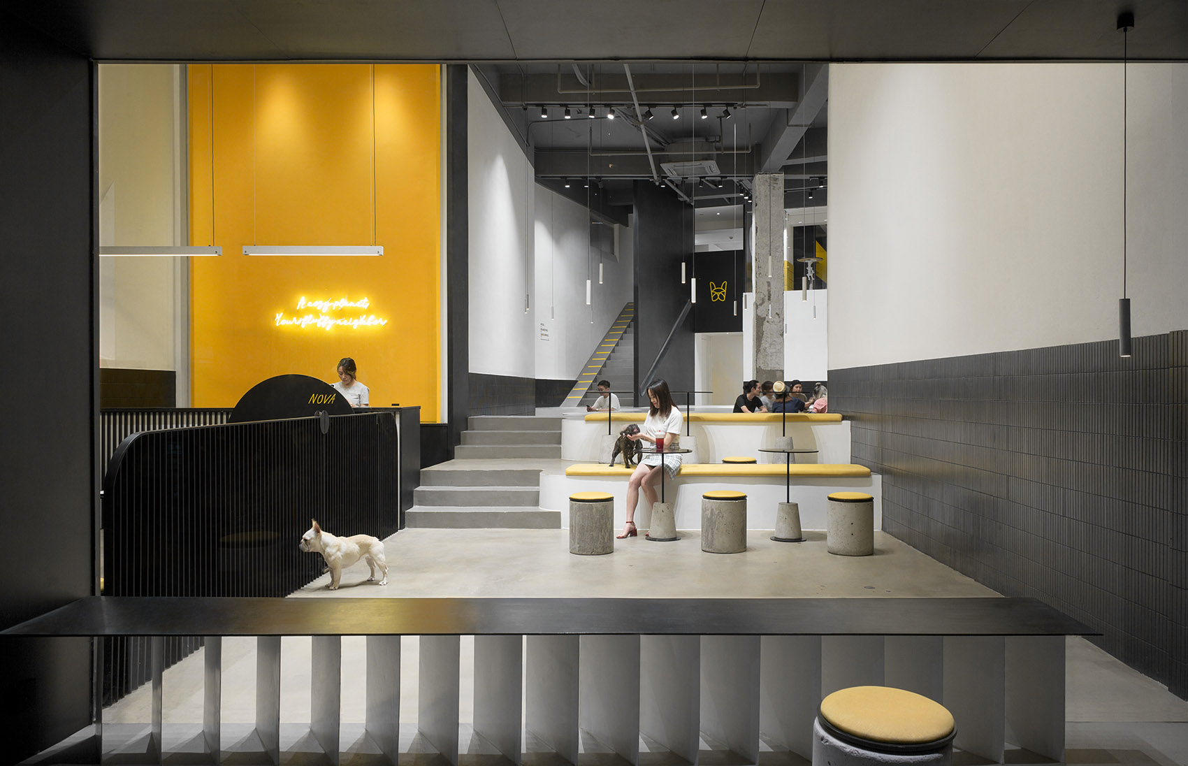 NOVA PETS, China by SAY ARCHITECTS - 谷德设计网