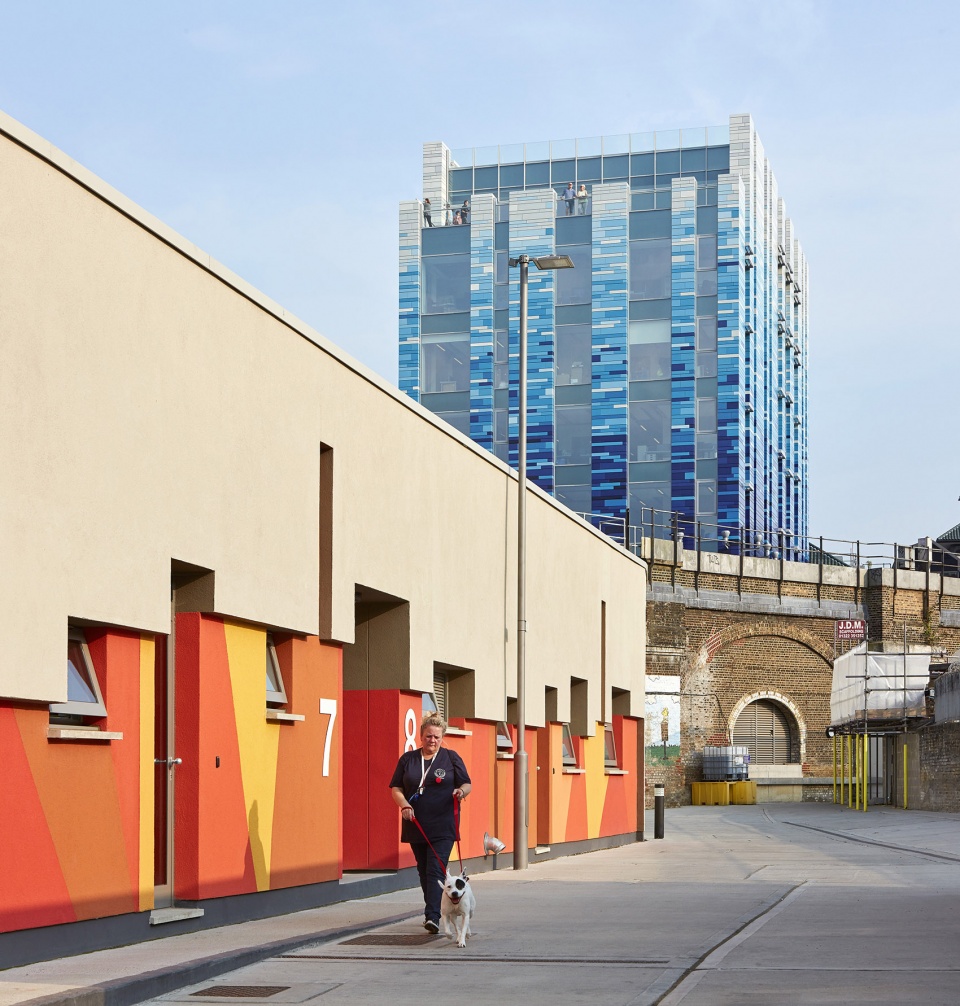 Battersea Dogs & Cats Home by Jonathan Clark Architects - 谷德设计网