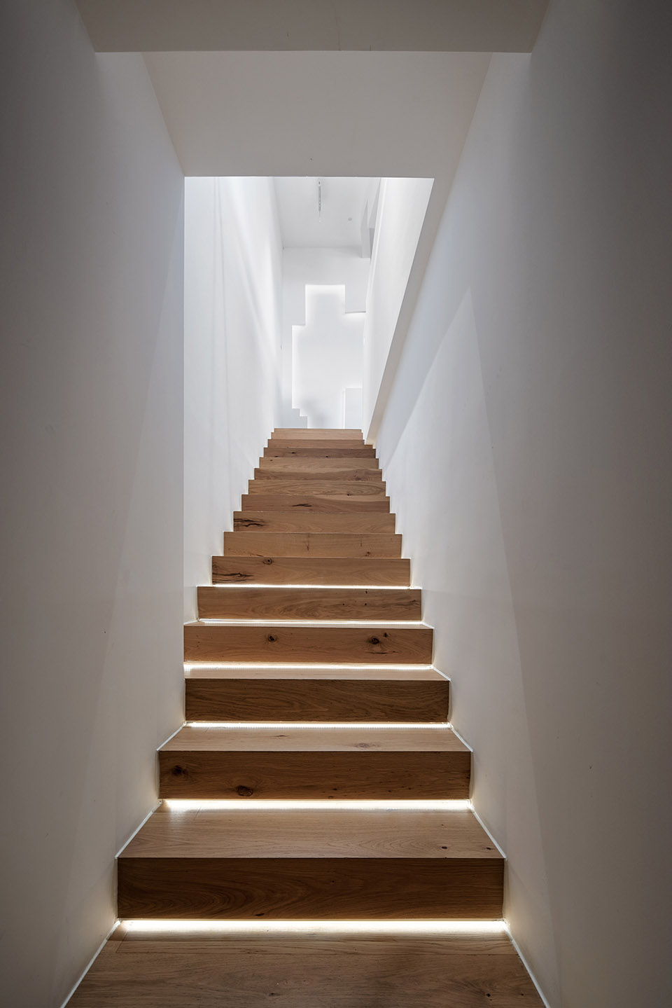 DANFU SHUMU FUSION SPACE, China by Hangzhou Danfu Architectural ...